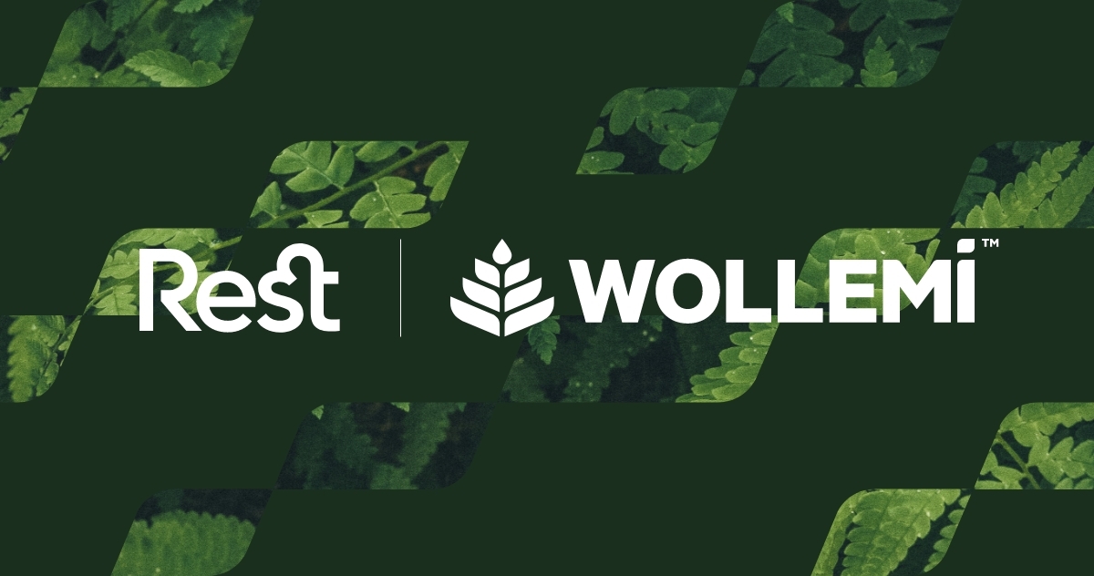 MEDIA RELEASE | Rest backs Wollemi Capital with US$150m commitment ...