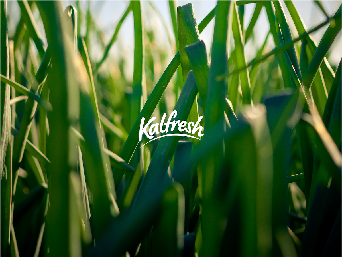 Kalfresh - Wollemi Capital